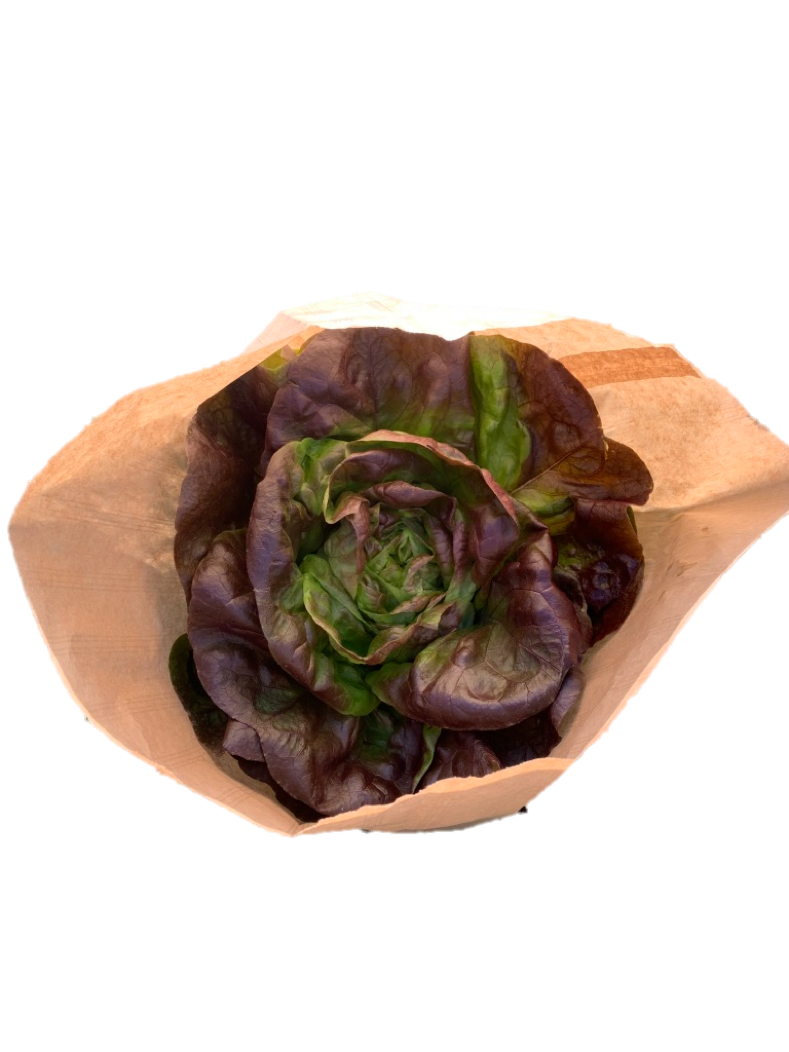 Cavare packaging Archives - Cavare Packaging